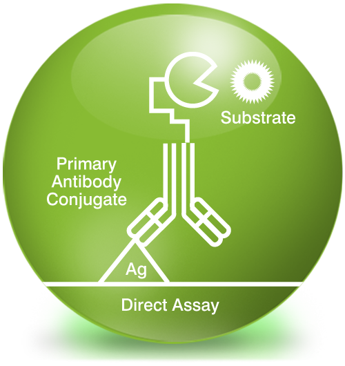 Home - Ab Biotechnology